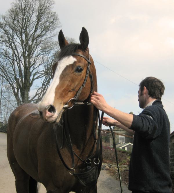 butch, king 009 | Philip Kirby Racing