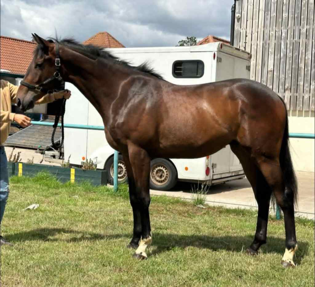 July 2025…. | Philip Kirby Racing